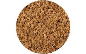 Newbie Sugar Beet - Advance Cover Crops